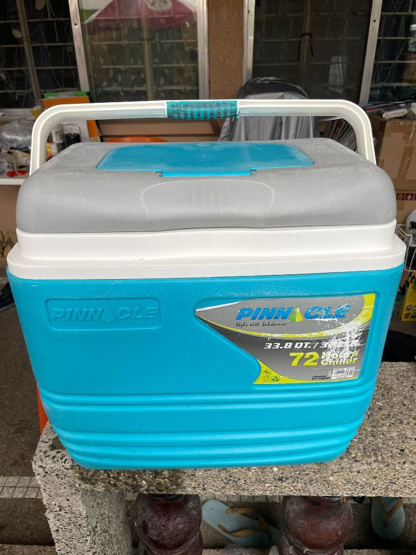 Pinnacle Cooler Box 32L, Furniture & Home Living, Kitchenware ...