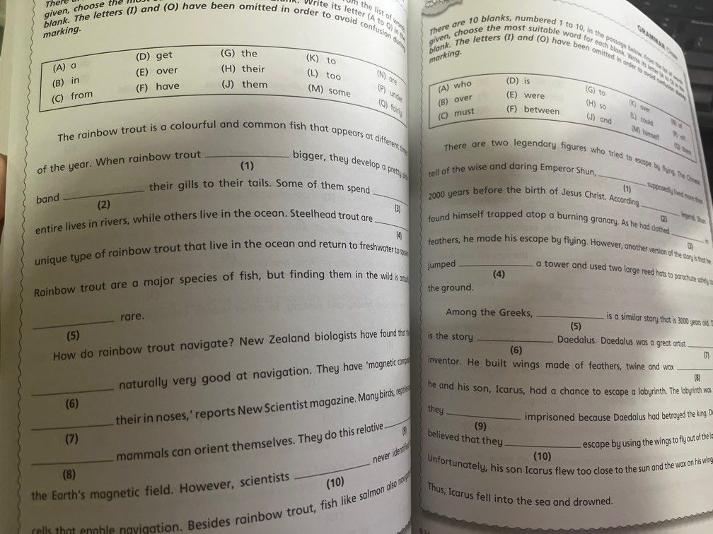 Primary 6 [P6] English Grammar, Vocabulary & Comprehension Practice ...