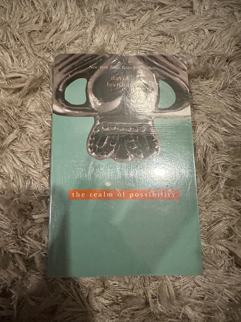 The realm of possibility by David Levithan, Hobbies & Toys, Books ...