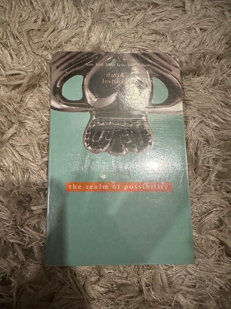The realm of possibility by David Levithan, Hobbies & Toys, Books ...
