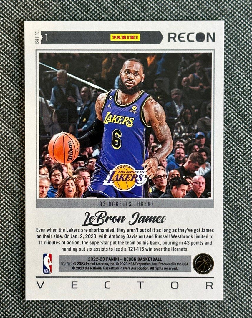 2022 NBA LeBron James Recon Vector Insert, Hobbies & Toys, Memorabilia ...