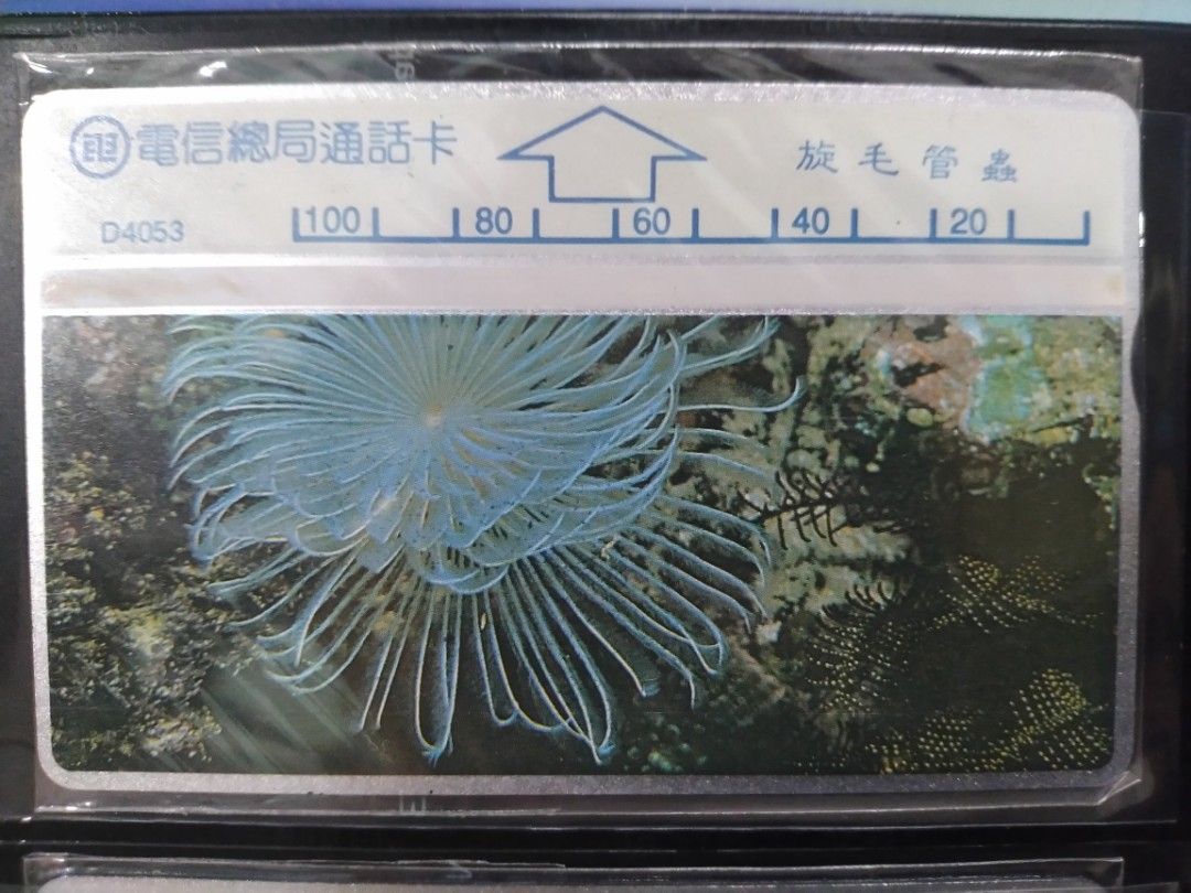各式電話卡 | 旋毛管蟲 全臺首學 中文傳訊息 一看就明瞭 | D4053 D4054 D4055 D4056 | 交通部電信總局通話卡 磁條 ...