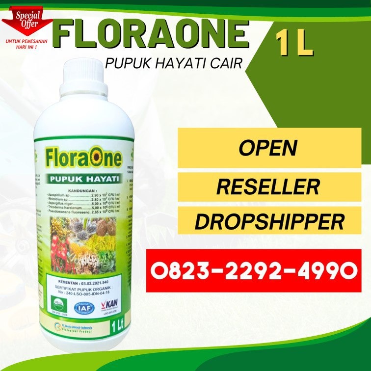 AMPUH!!! TELP! 0823-2292-4990, AGEN pupuk kelapa sawit umur 1 tahun ... AMPUH!!! TELP! 0823-2292-4990, AGEN pupuk kelapa sawit umur 1 tahun ...