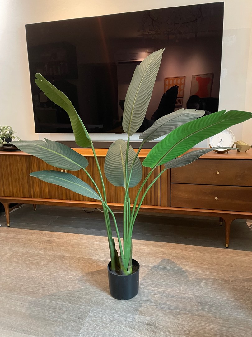 Faux banana leaf plant, Furniture & Home Living, Home Decor, Artificial ...