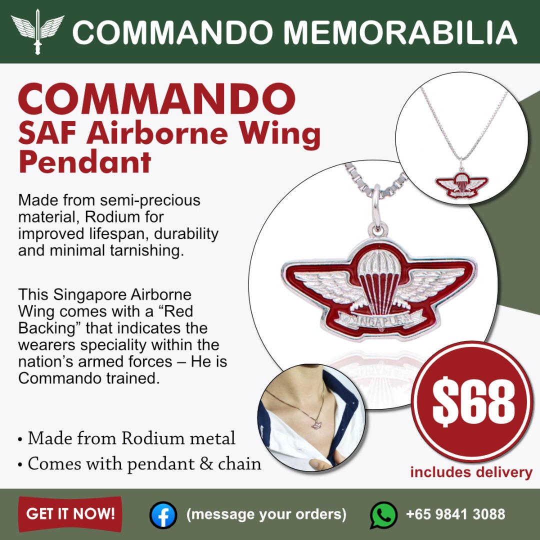 Commando Airborne Wing Pendant 916 Solid Gold and Silver, Hobbies ...