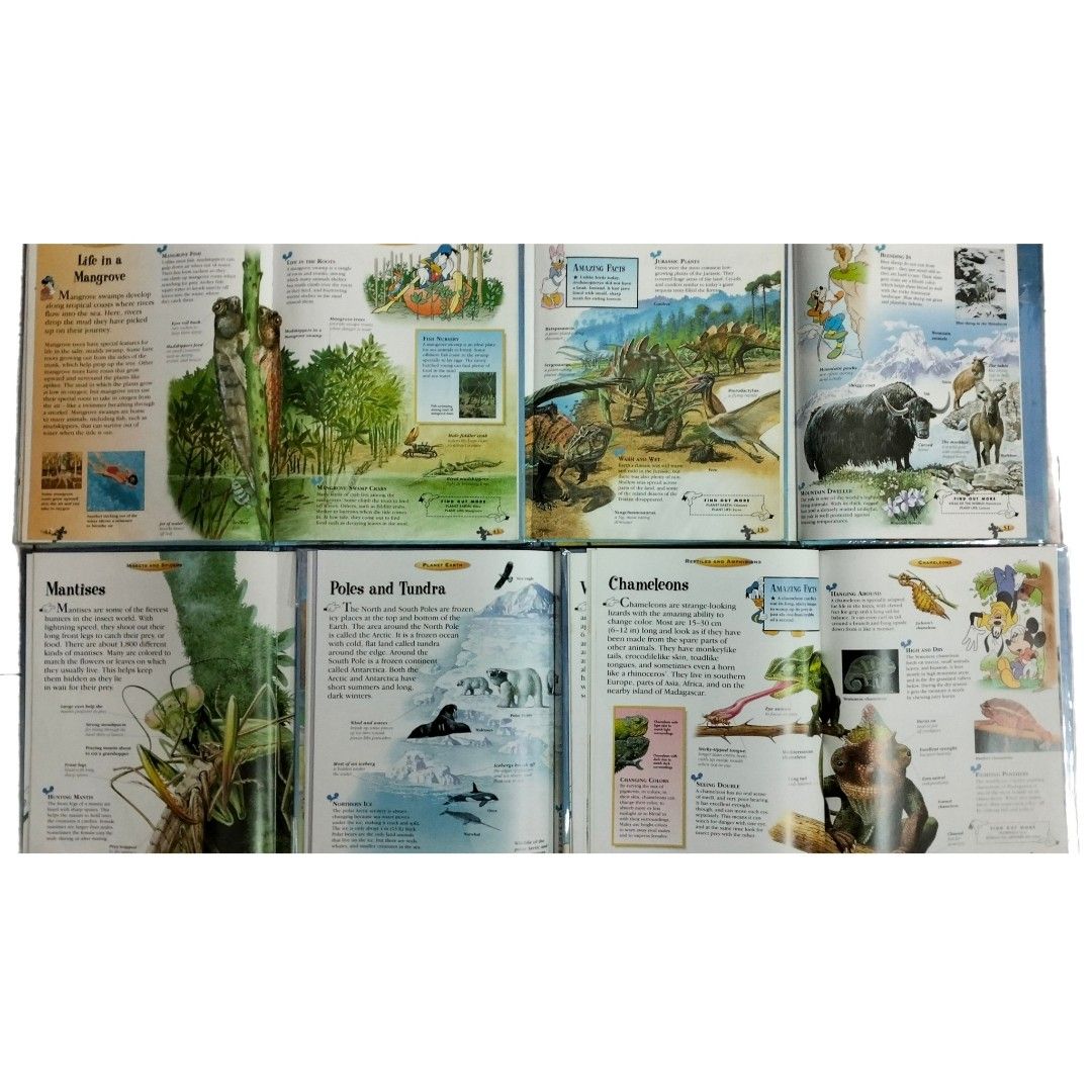 GROLIER DISNEY CHILDREN encyclopedia, Hobbies & Toys, Books & Magazines ...