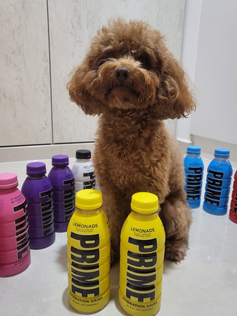 *LIMITED* PRIME, Food & Drinks, Beverages on Carousell