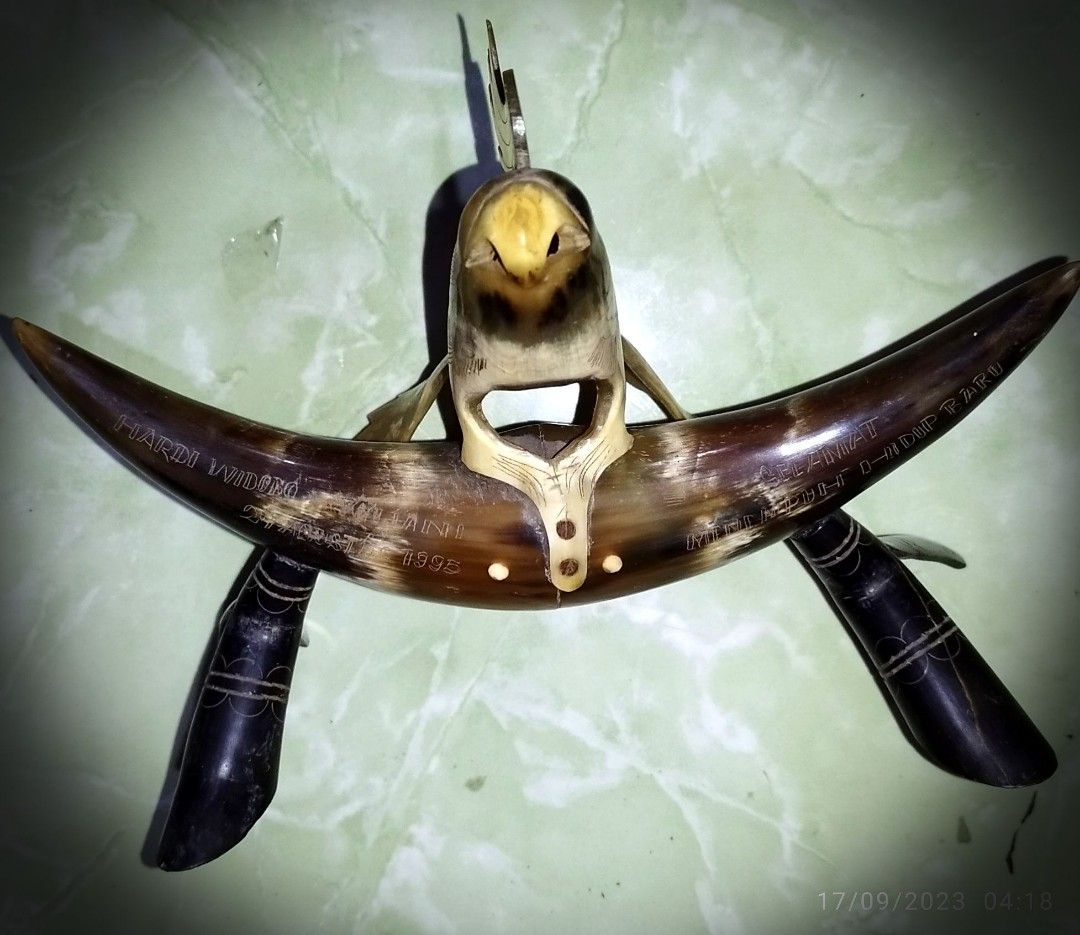 Pajangan burung kakaktua kerang mutiara berdiri di tanduk kerbau asli ...