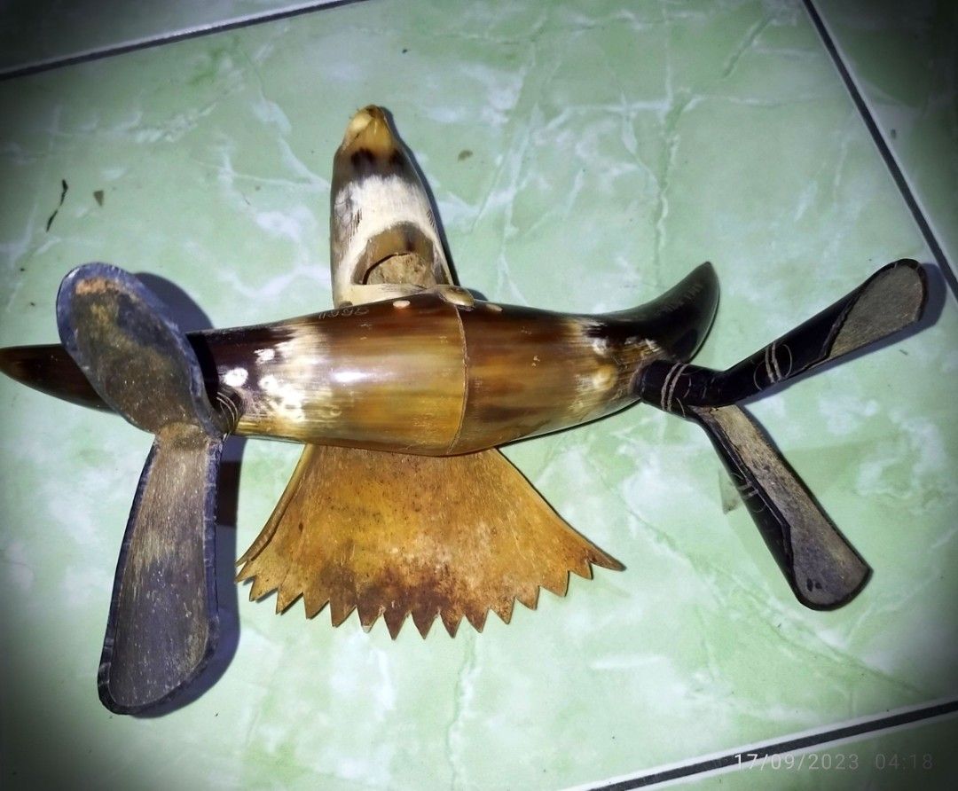 Pajangan burung kakaktua kerang mutiara berdiri di tanduk kerbau asli ...