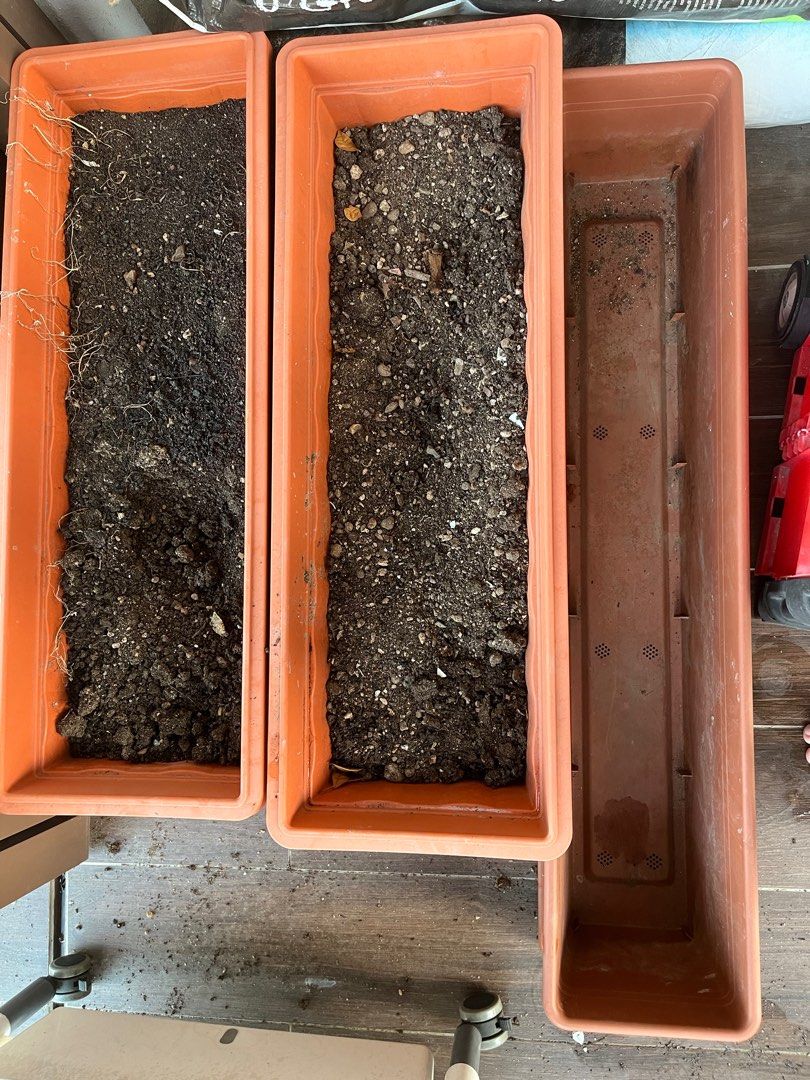 Rectangular Planting pot, Furniture & Home Living, Gardening, Gardening ...