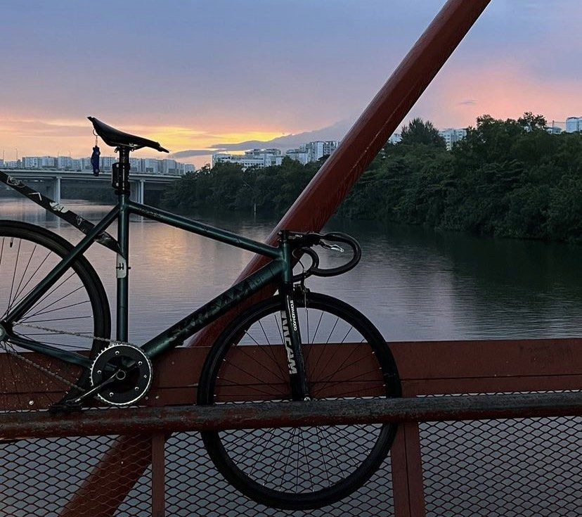 Skream v2 chameleon fs for fixie / track, Sports Equipment, Bicycles ...