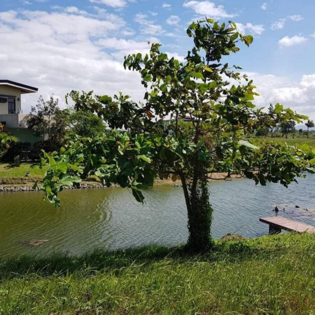 South Lake Village Eton City Santa Rosa Laguna Lot Only at 370 SQM Lot ...