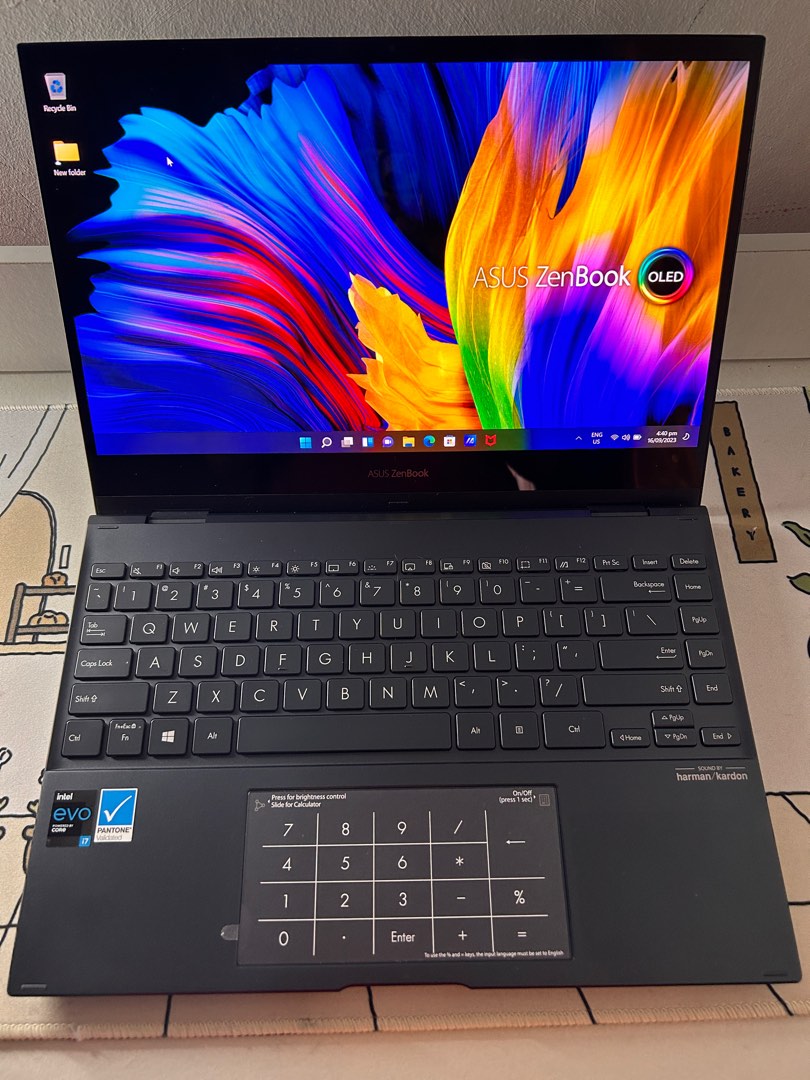 ASUS Zenbook Flip 13 OLED UX363EA - Sleek 2-in-1 Laptop in Excellent ...