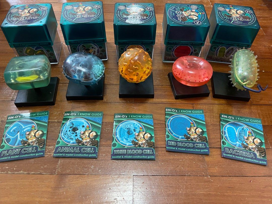 Cells model ( plant cell, animal cell, white blood cell, red blood cell ...