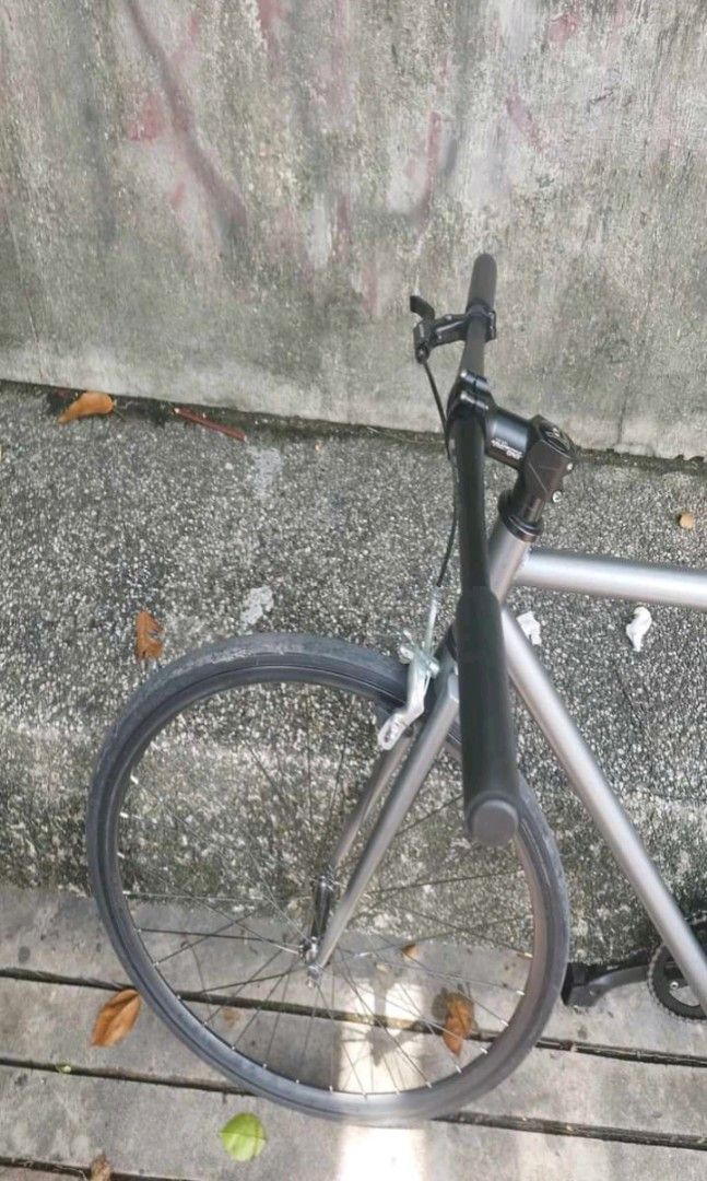 CELT fixie bike, Sports Equipment, Bicycles & Parts, Bicycles on Carousell