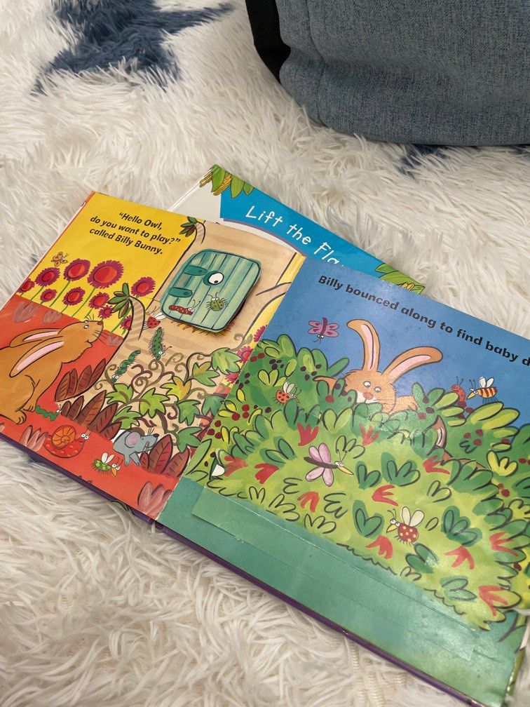 Lift the flap - Leo lion and Billy Bunny, Hobbies & Toys, Books ...