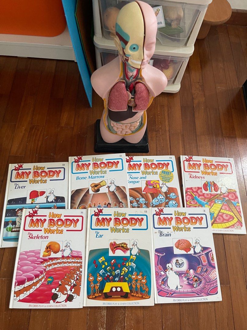 Montessori human body model + 3 parts cards + books, Hobbies & Toys ...
