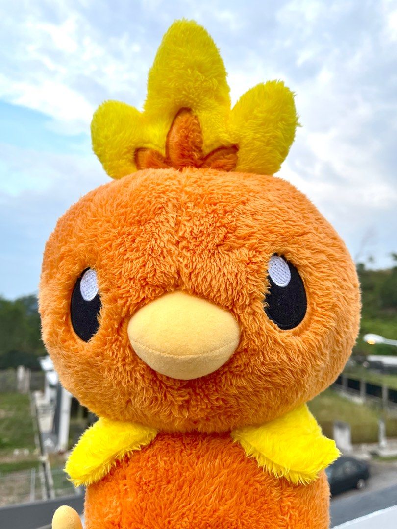 Nintendo Pokemon Torchic Plush, Hobbies & Toys, Toys & Games on Carousell