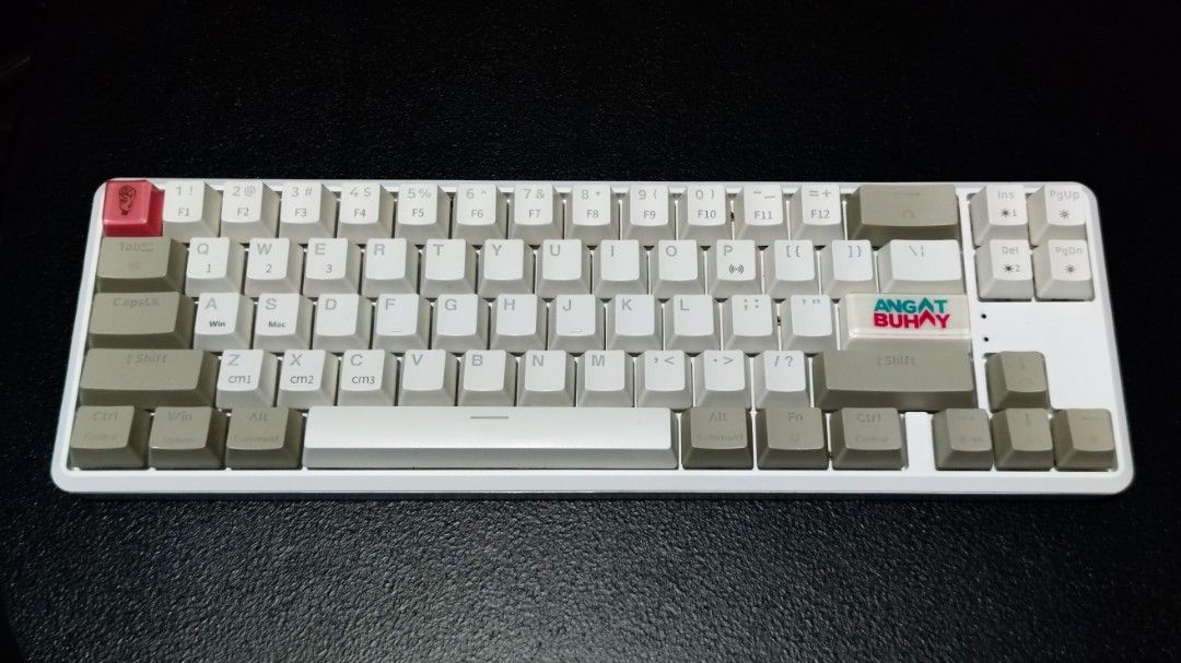 RAKK Pluma Mechanical Keyboard (Blue Switches), Computers & Tech, Parts ...