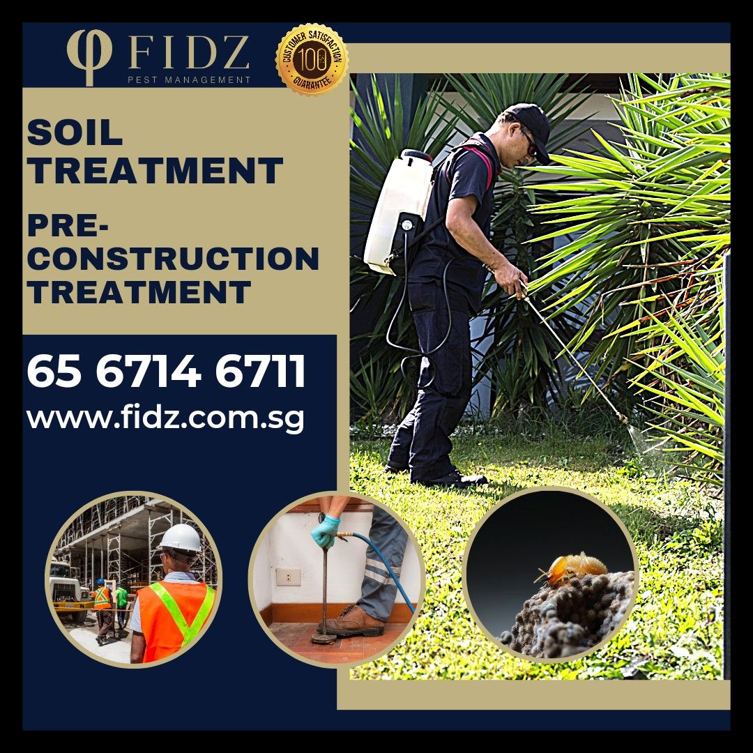 Termites Exterminator and Prevention, Furniture & Home Living, Cleaning ...