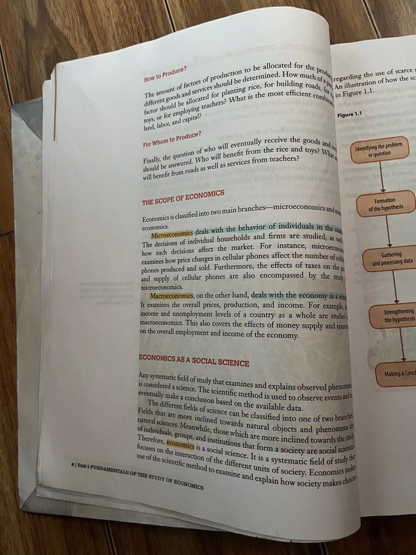 Vibal Philippine Economy and Development Book, Hobbies & Toys, Books & Magazines, Textbooks on ...