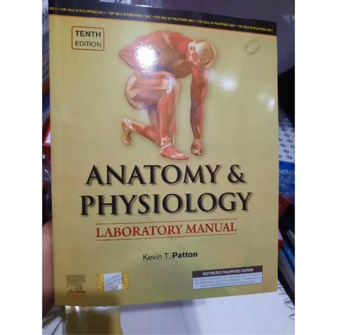 Anatomy Workbook, Hobbies & Toys, Books & Magazines, Textbooks on Carousell
