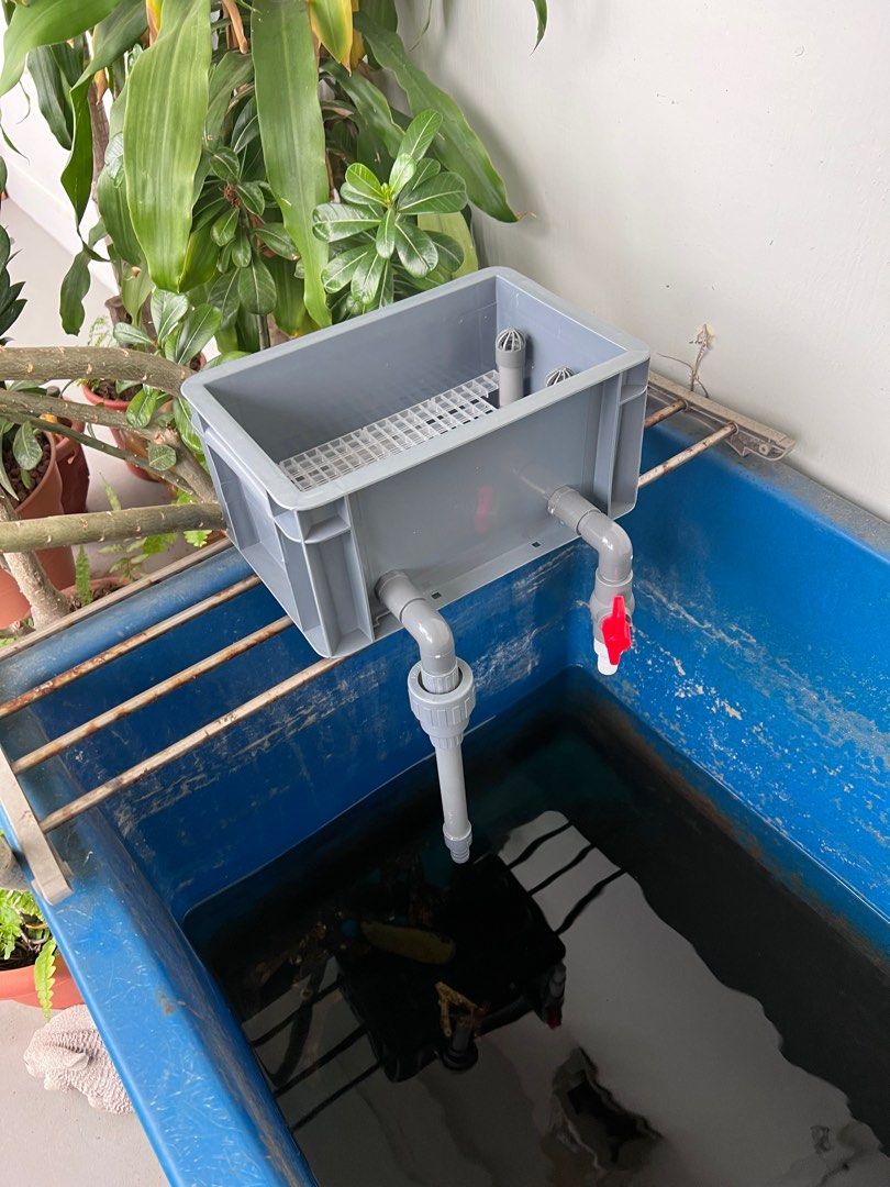 Aquarium overhead filter box for plant, Furniture & Home Living ...