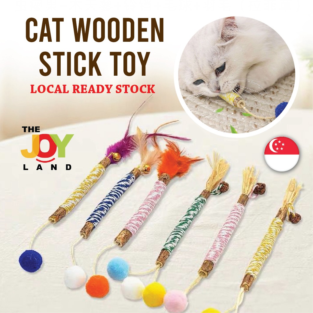 Cat Wooden Stick toy | Wooden Dental Cleaning Stick | Cat Nature Wooden ...