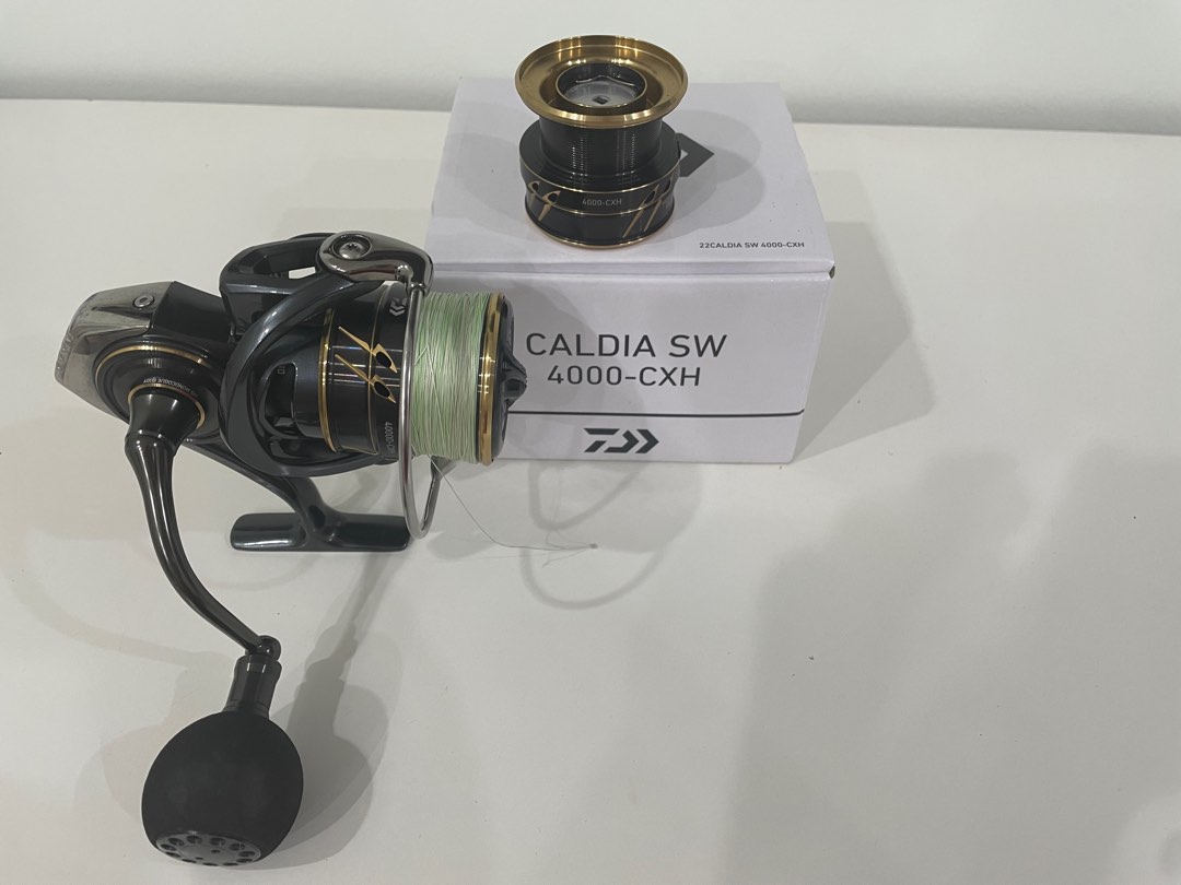 Daiwa Caldia SW LT 4000-CXH + 4000D-CXH spool, Sports Equipment ...