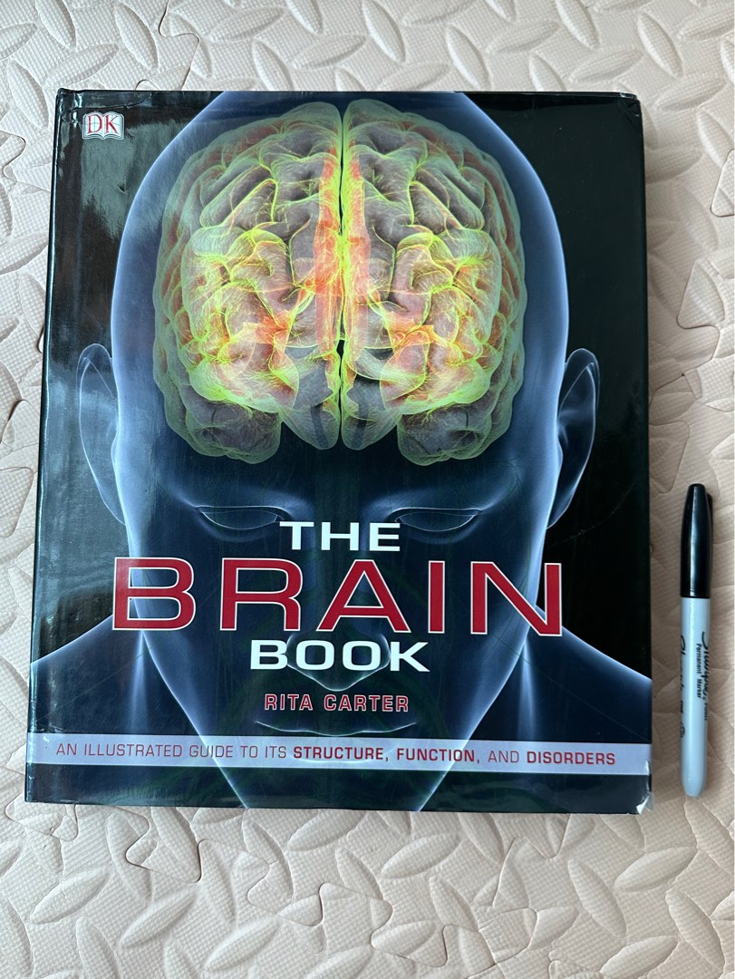 DK The Brain Book | Rita Carter, Hobbies & Toys, Books & Magazines ...