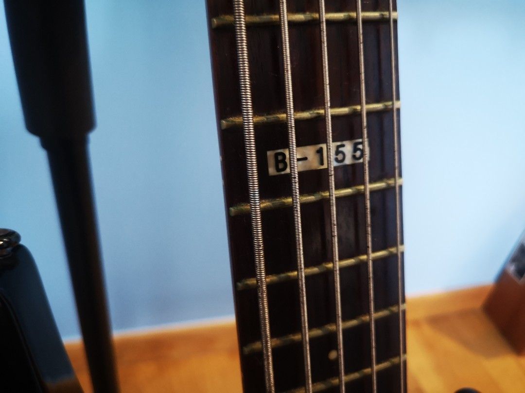 ESP LTD B-155 5-string Bass guitar see-through black plus spare pick ...