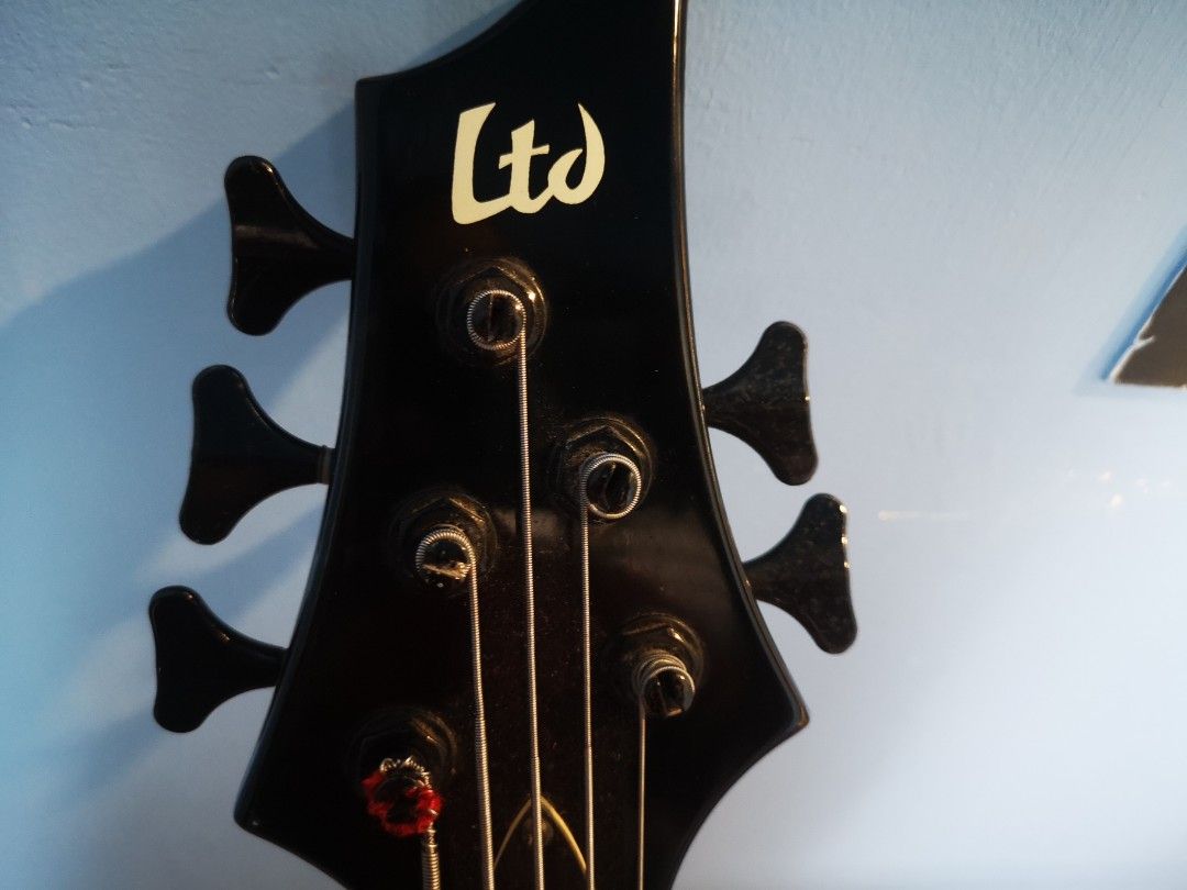 ESP LTD B-155 5-string Bass guitar see-through black plus spare pick ...