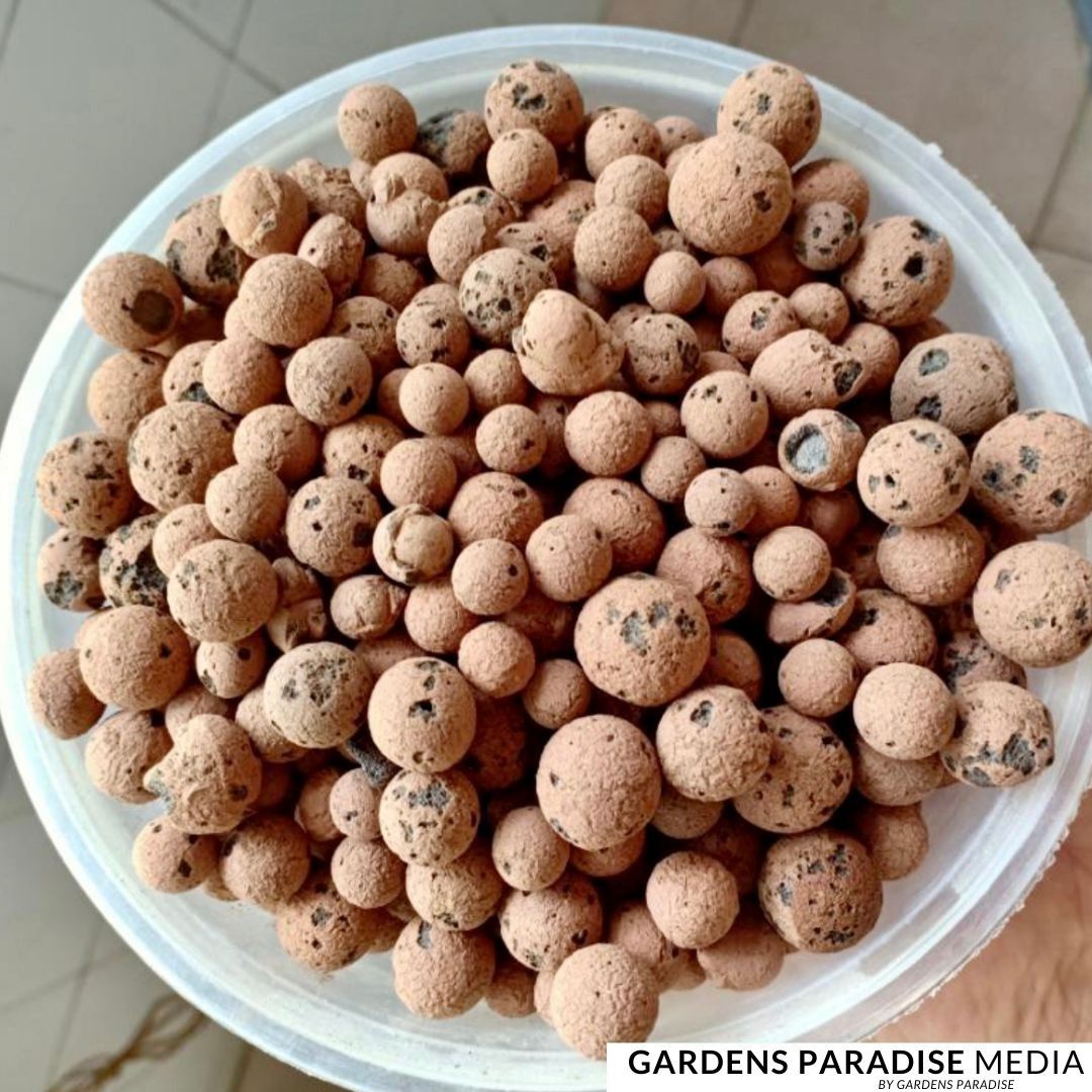 German 8-16mm Lecca Granulate Clay Ball 5 Litres (Approx. 2kg ...