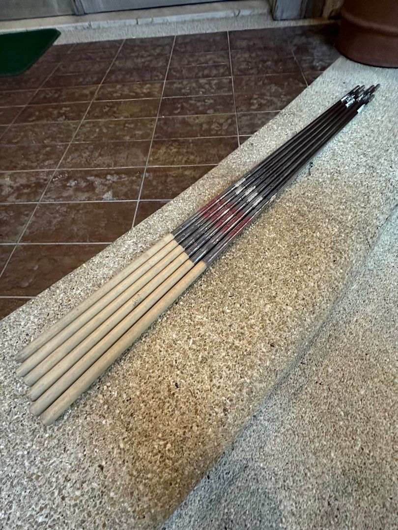 Nippon NS PRO 880 AMC Regular flex golf shaft 5-P, Sports Equipment ...