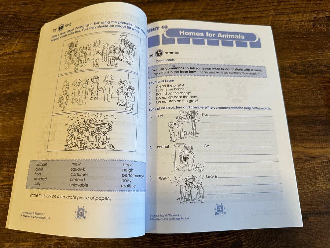 Primary 2/P2 SAP Learning English Workbook Vocabulary Grammar Practice ...