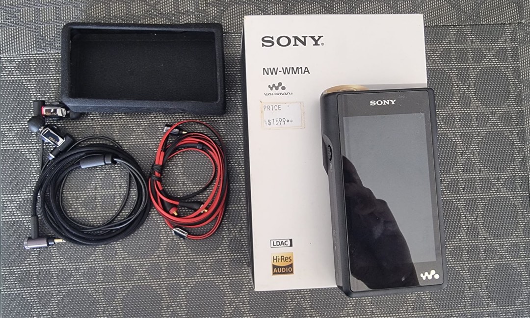 Sony Walkman NW-WM1A + XBA-H2 Earphone, Audio, Earphones on Carousell