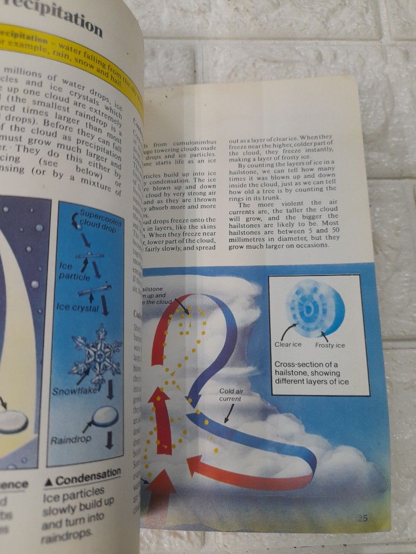The Weather Usborne Spotters Guide, Hobbies & Toys, Books & Magazines ...