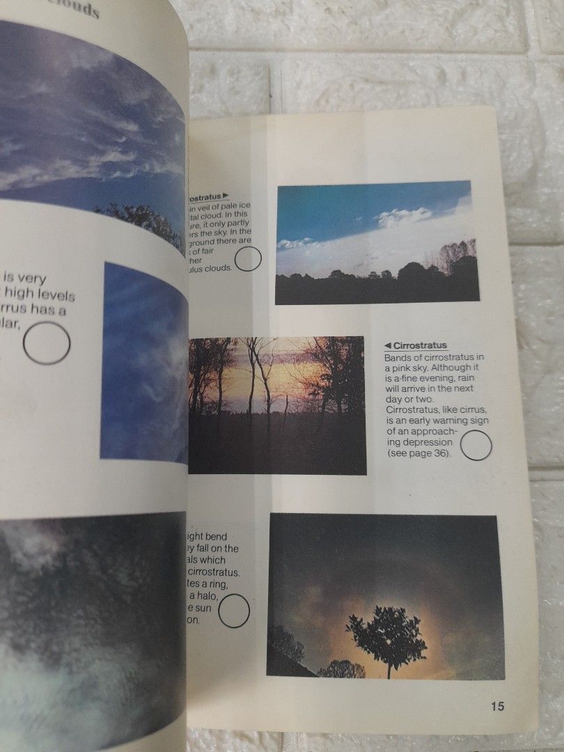 The Weather Usborne Spotters Guide, Hobbies & Toys, Books & Magazines ...