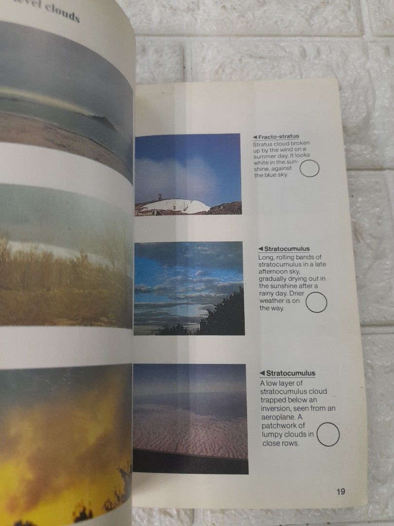 The Weather Usborne Spotters Guide, Hobbies & Toys, Books & Magazines ...