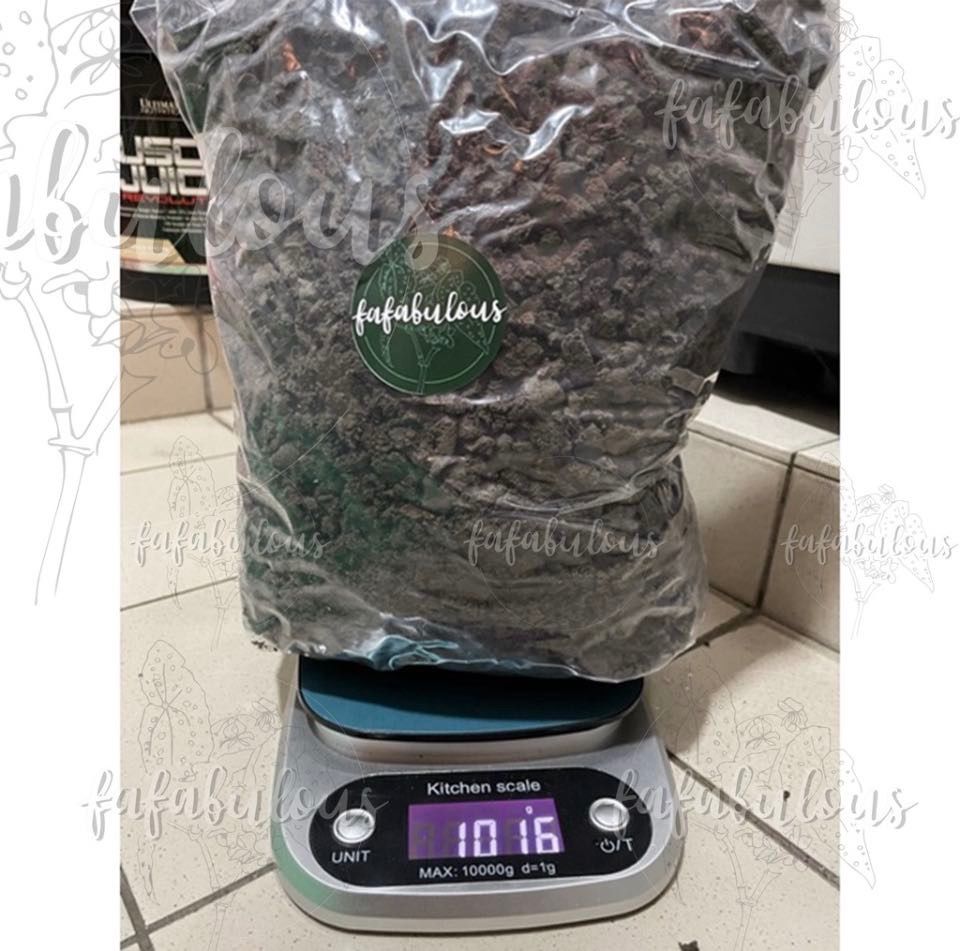 3KG PAFCAL Chips - Authentic Midorie Soil-less Medium - Imported from ...