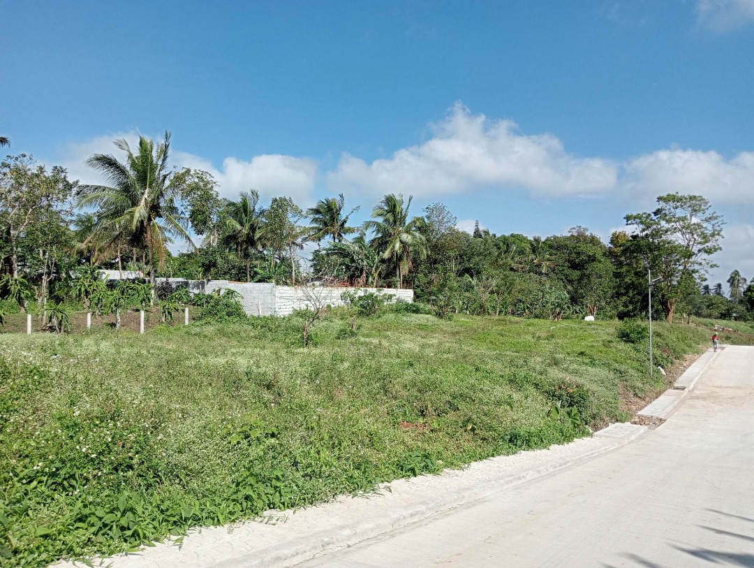 Agricultural farm lot for sale near Tagaytay, Property, For Sale, Lot ...