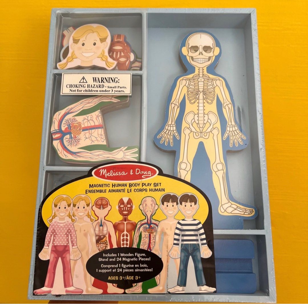 BN Sealed Melissa & Doug : Magnetic Human Body Anatomy, Hobbies & Toys ...
