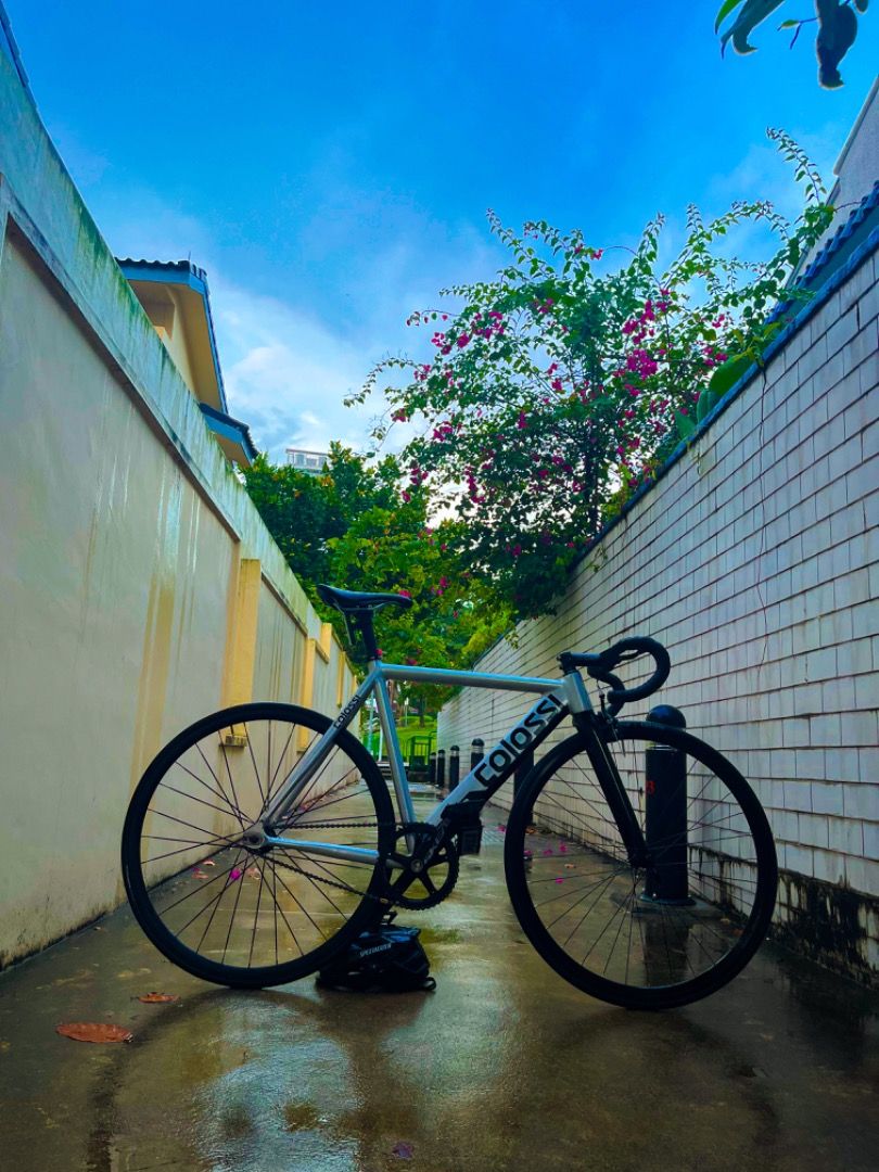 Colossi LowPro Fixie Frameset FS FB WTS WTT, Sports Equipment, Bicycles ...
