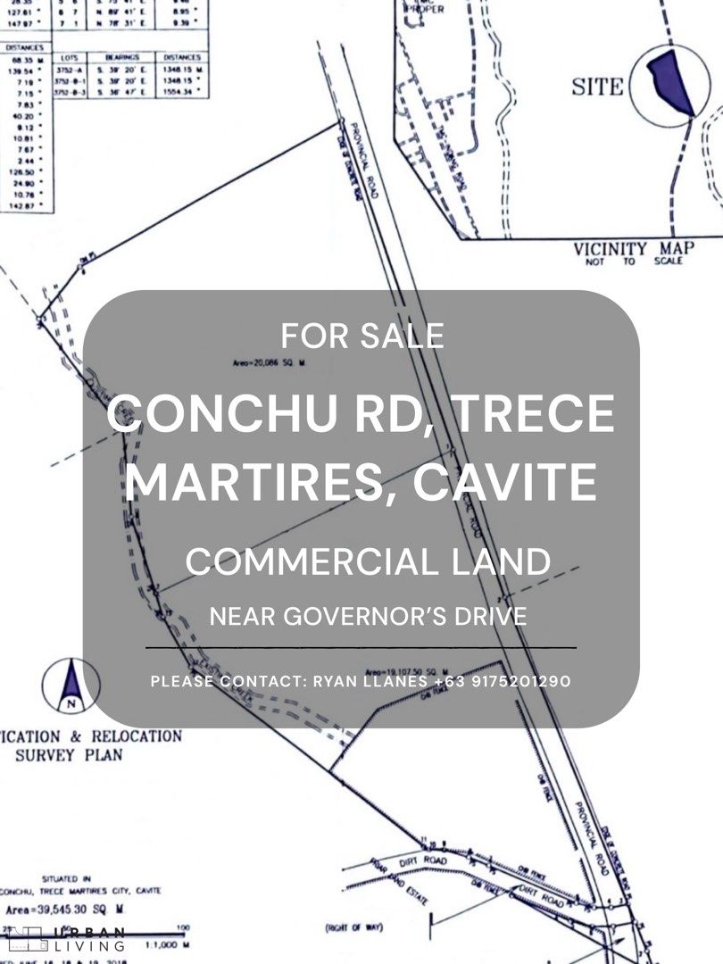 Conchu Rd. Trece Martires Cavite 3.5 hectare land for sale, Property ...