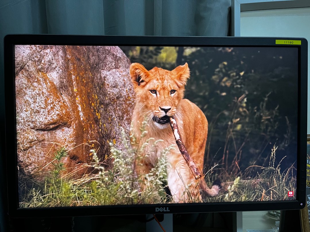 Move out sell - Dell 27 inch Ultra HD 4K LED lit wide flat screen ...