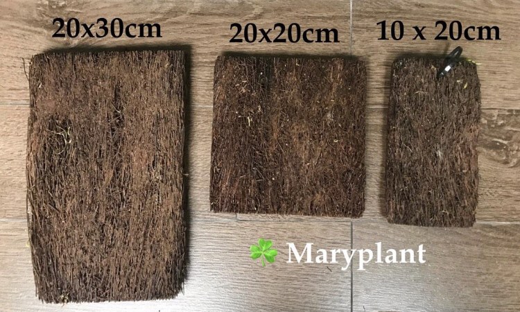 Fern bark for orchid plant, Furniture & Home Living, Gardening, Plants ...