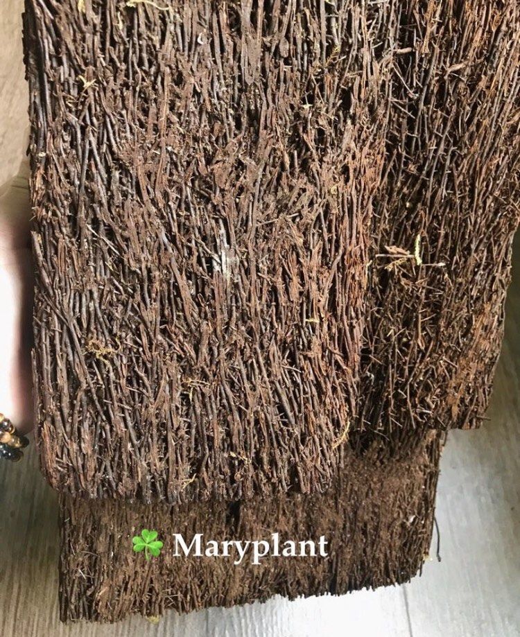 Fern bark for orchid plant, Furniture & Home Living, Gardening, Plants ...