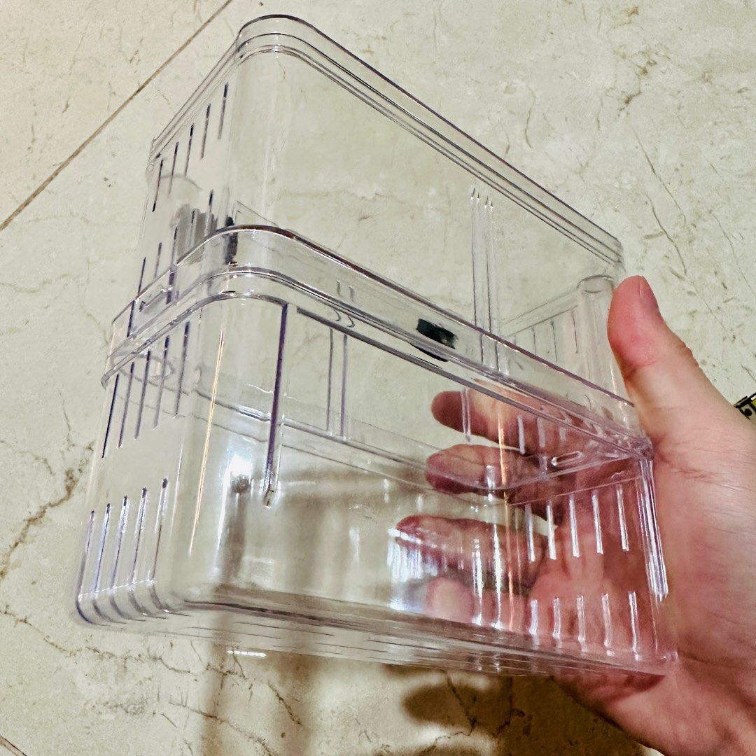 Fish Shrimp Isolation Box Container, Pet Supplies, Homes & Other Pet ...