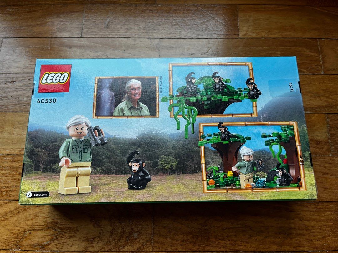 Jane Goodall Tribute Lego 40530, Hobbies & Toys, Toys & Games on Carousell