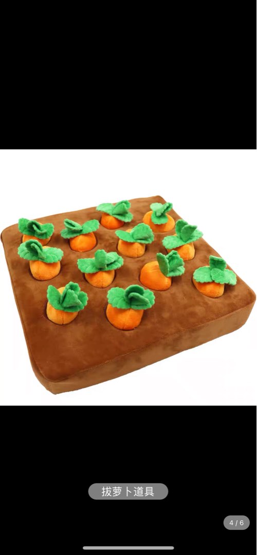 NB Photoshoot props, Everything Else on Carousell